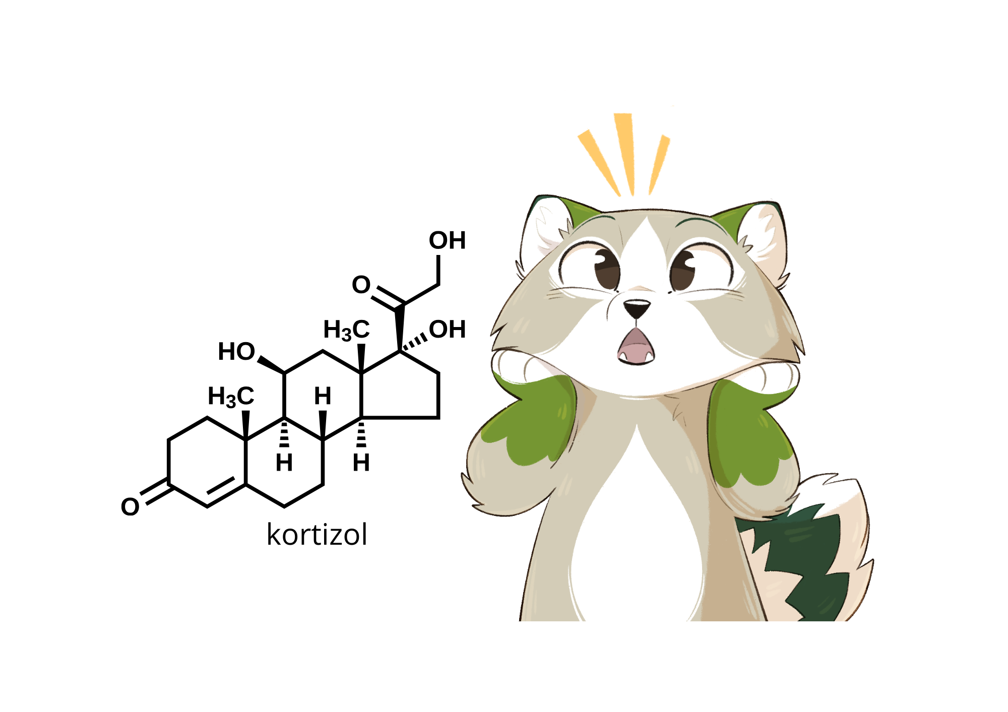 Stres – proč nám škodí a jak s ním bojovat? | Herbalus